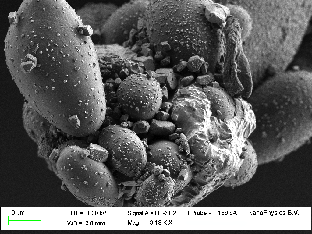SEM-EDX - Semiconductor Intelligence SEM-EDX - Semiconductor Intelligence